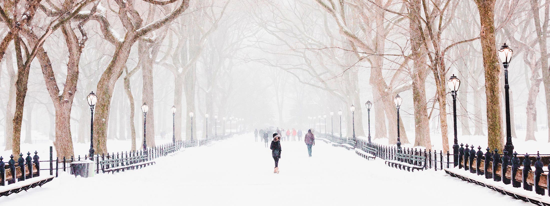 May Week – DST Houston Alumnae