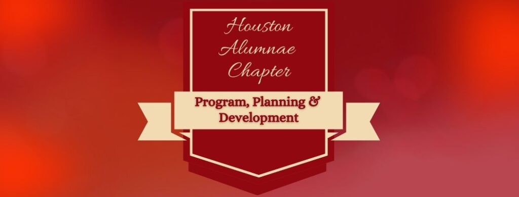 2nd Vice President (New) – DST Houston Alumnae
