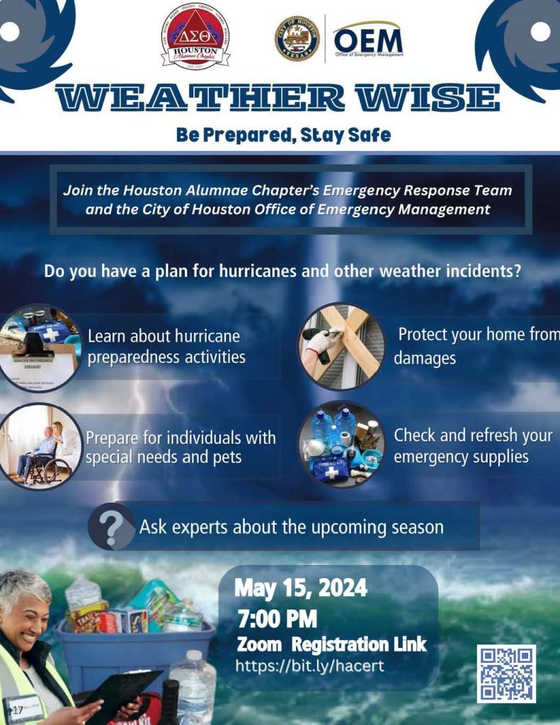 DST Houston Alumnae – DST Houston Alumnae